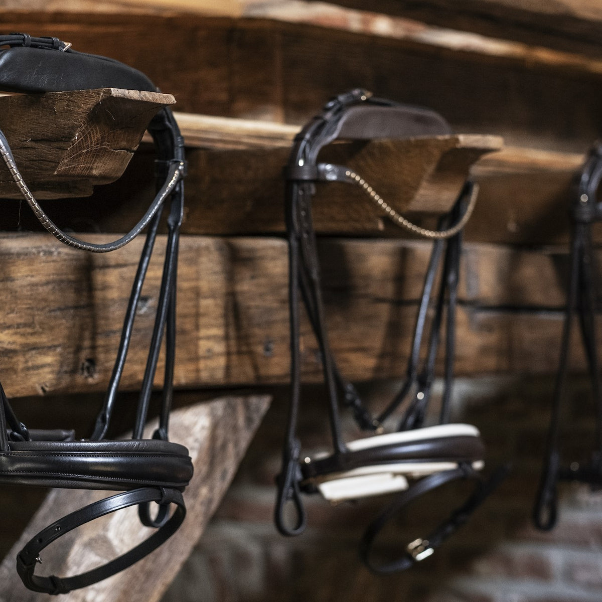 How To Fit Your Finesse Bridle – GS Equestrian