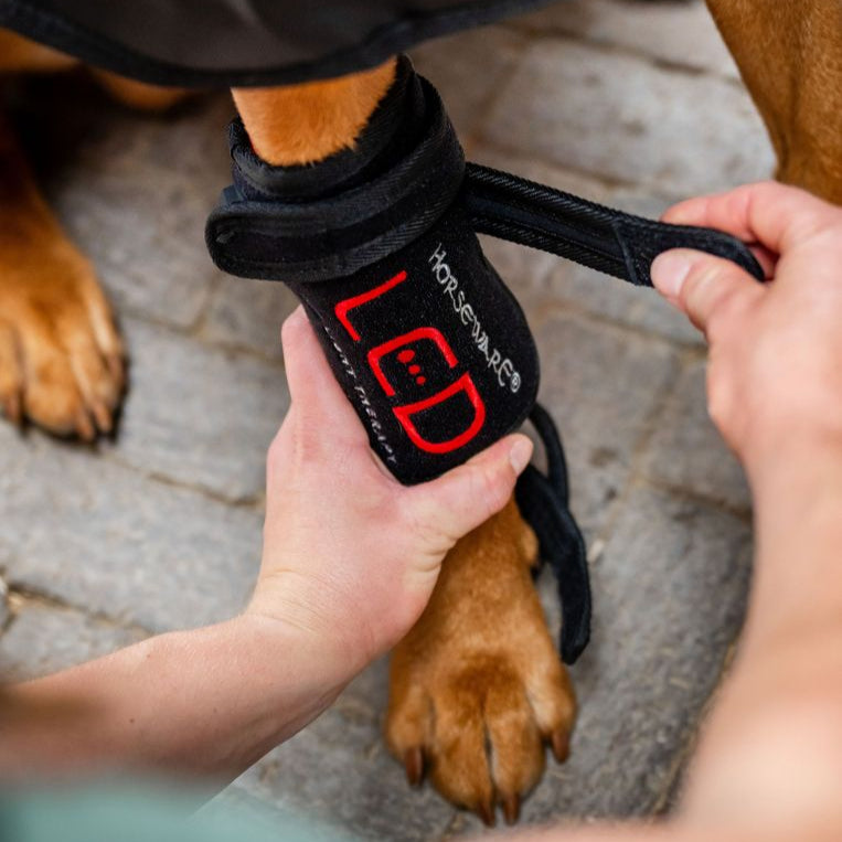 Horseware Ireland LED Red Light Therapy Pet Leg Wrap – GS Equestrian